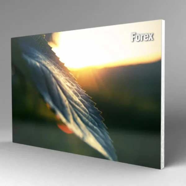 Forex Board Printing Dubai | PVC Foam Board Signage UAE | M Print House